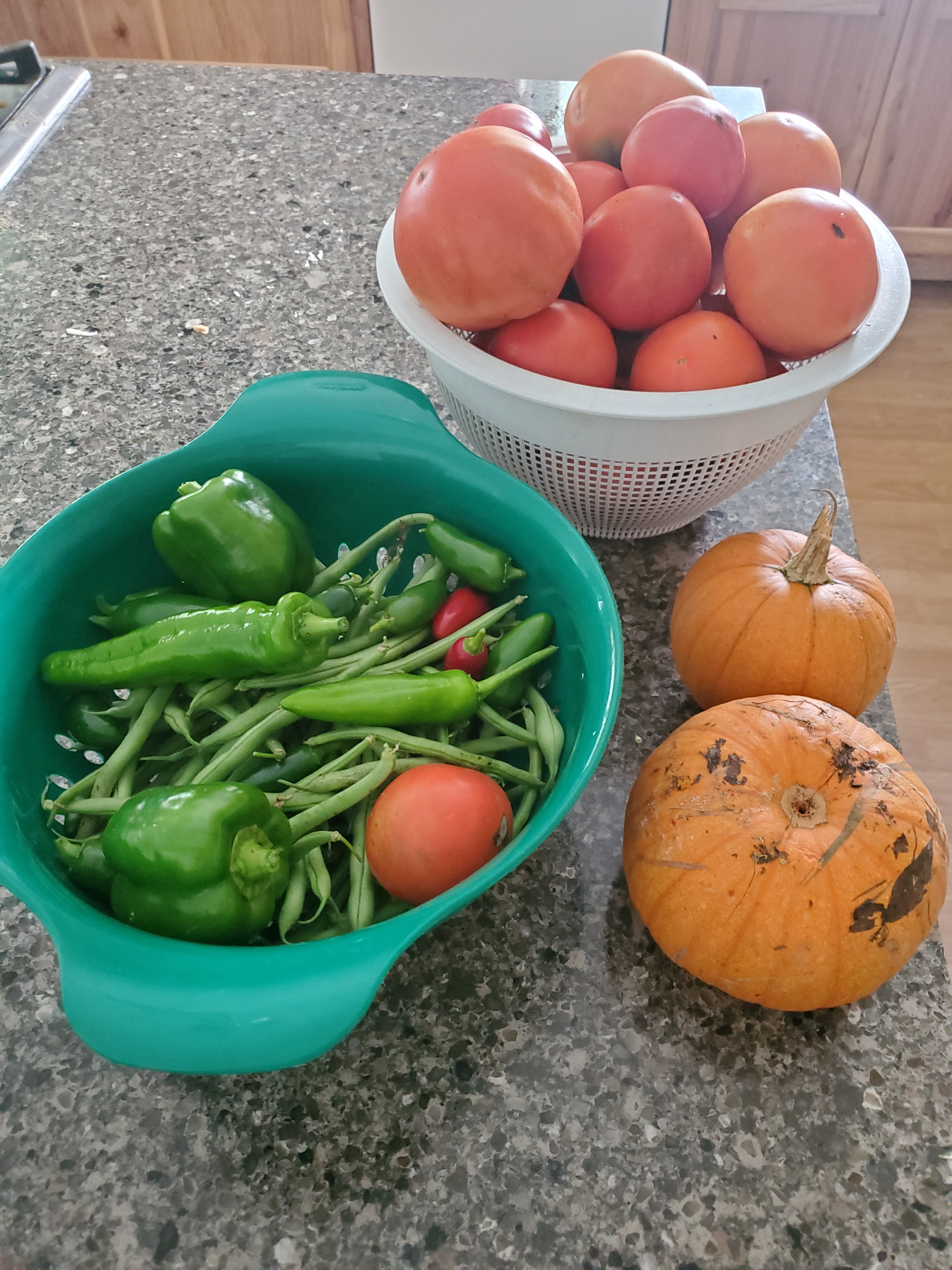ANDREA'S GARDEN – SADES ACRES